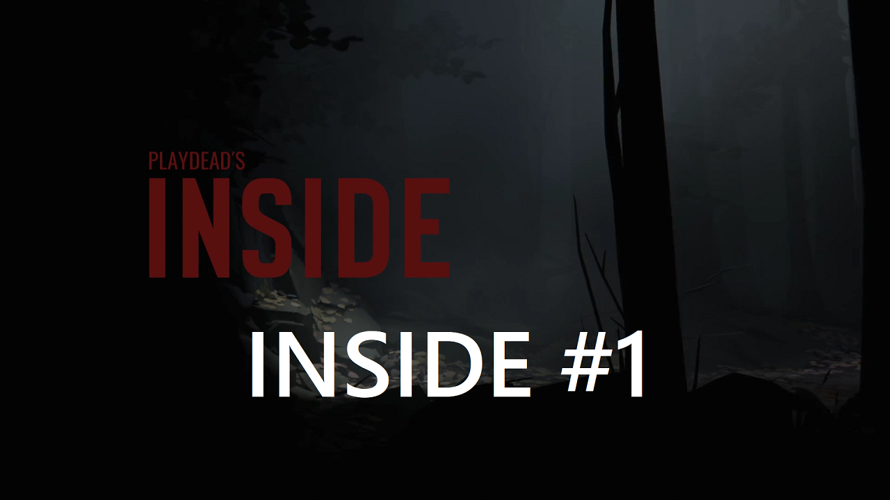 「INSIDE」 gameplay 実況ﾌﾟﾚｲ #1 | zubori.com